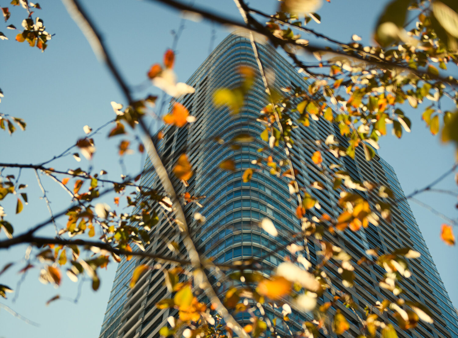 Our Story - Hotels and Residences for Inspired Living - Janu