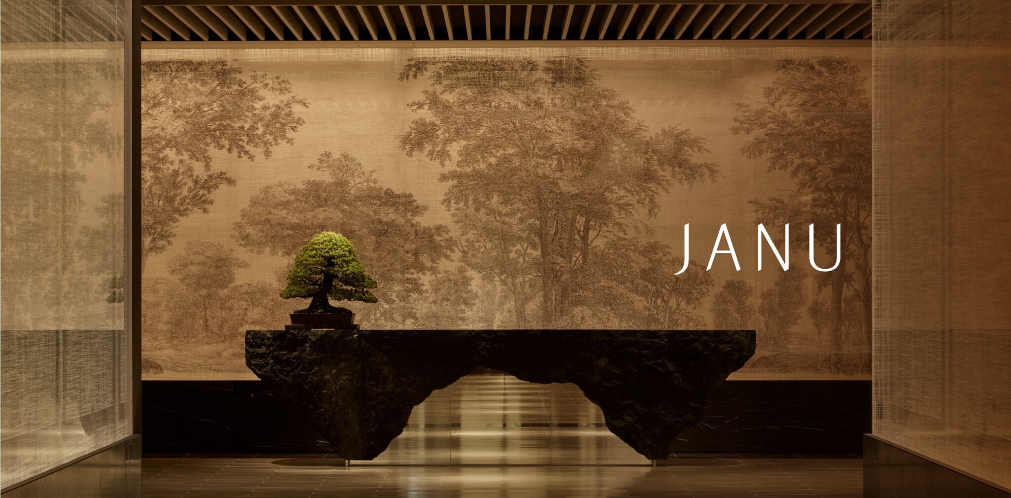 Janu Luxury Hotels, Resorts & Residences