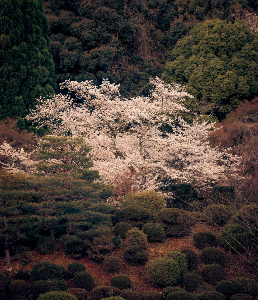 Azabudai Hills – A Hub Of Nature, Culture And Art